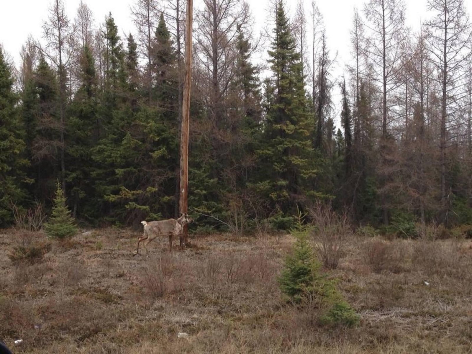 Moments filed under Prairie First Nations - Hi