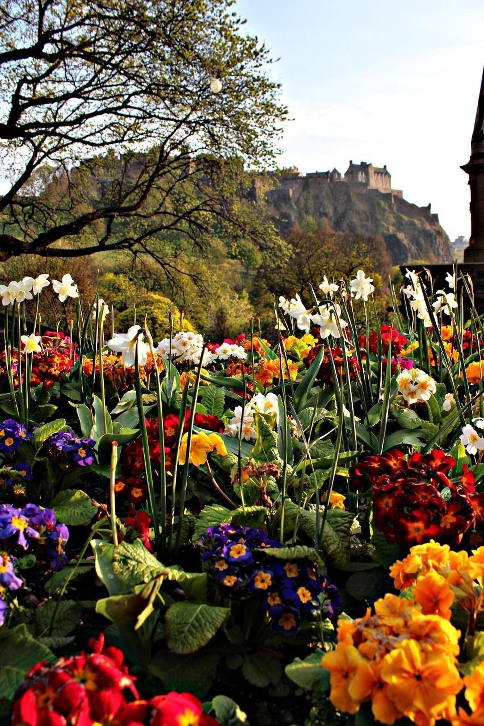 Spring in Edinburgh, Scotland. – Edinburgh, United Kingdom — A Hi Moment