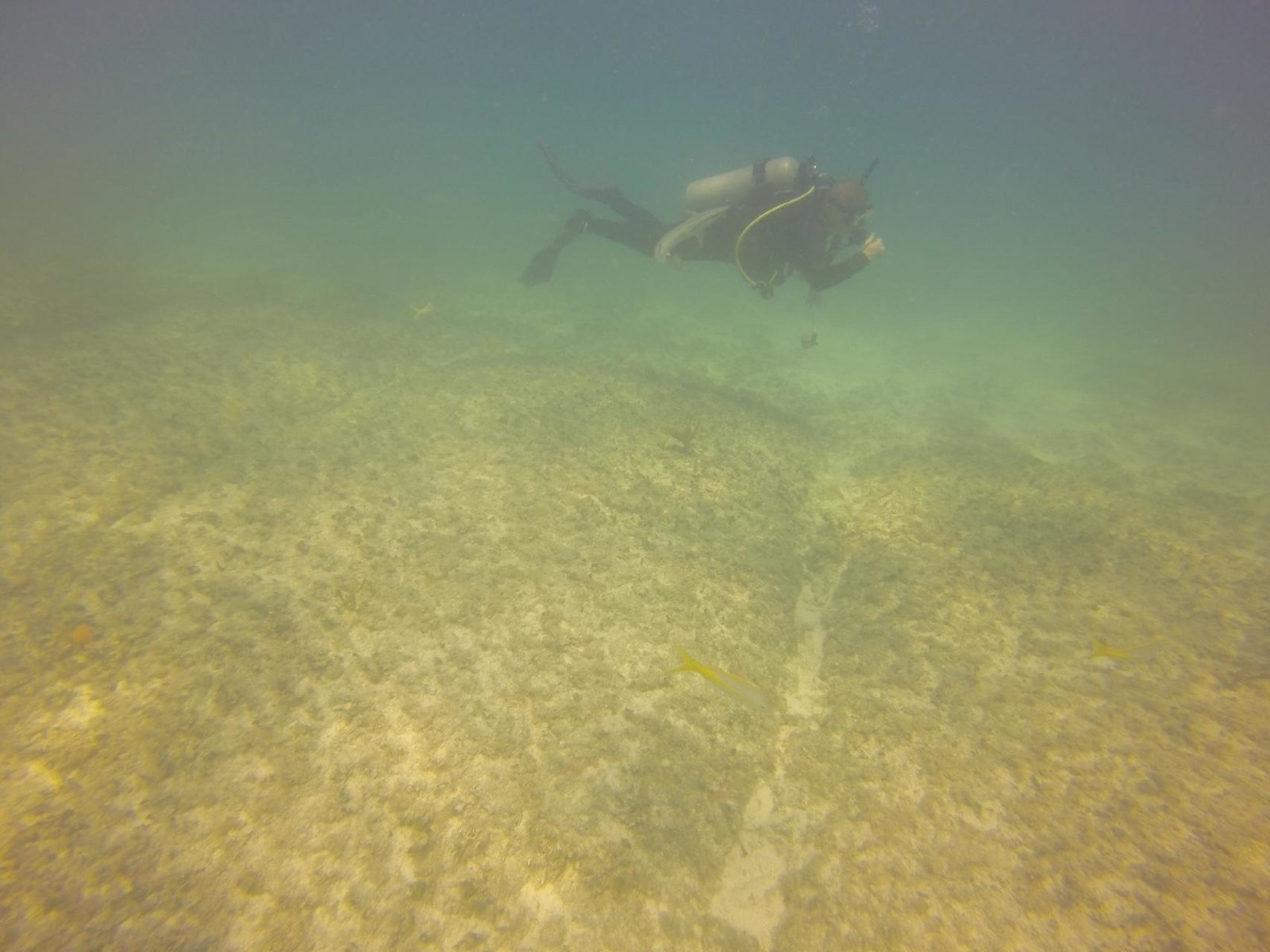 The Bimini Road: Ancient Ruin or Natural Formation? – Bimini, The ...