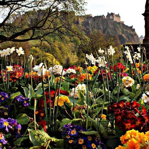 Spring in Edinburgh, Scotland. – Edinburgh, United Kingdom — A Hi Moment