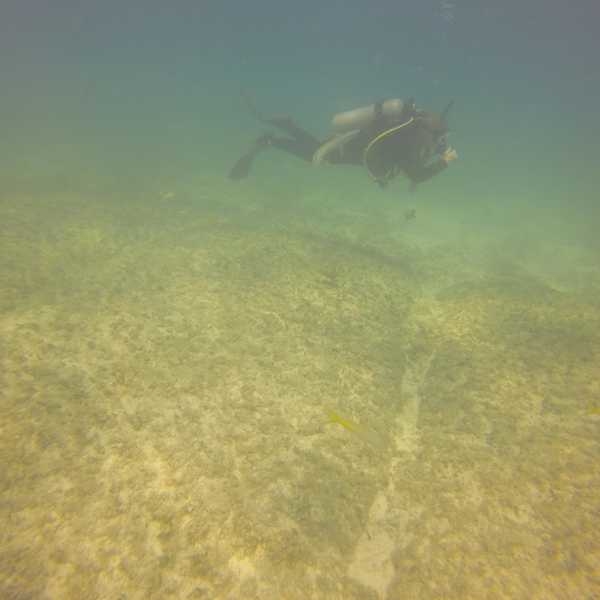 The Bimini Road: Ancient Ruin or Natural Formation? – Bimini, The ...